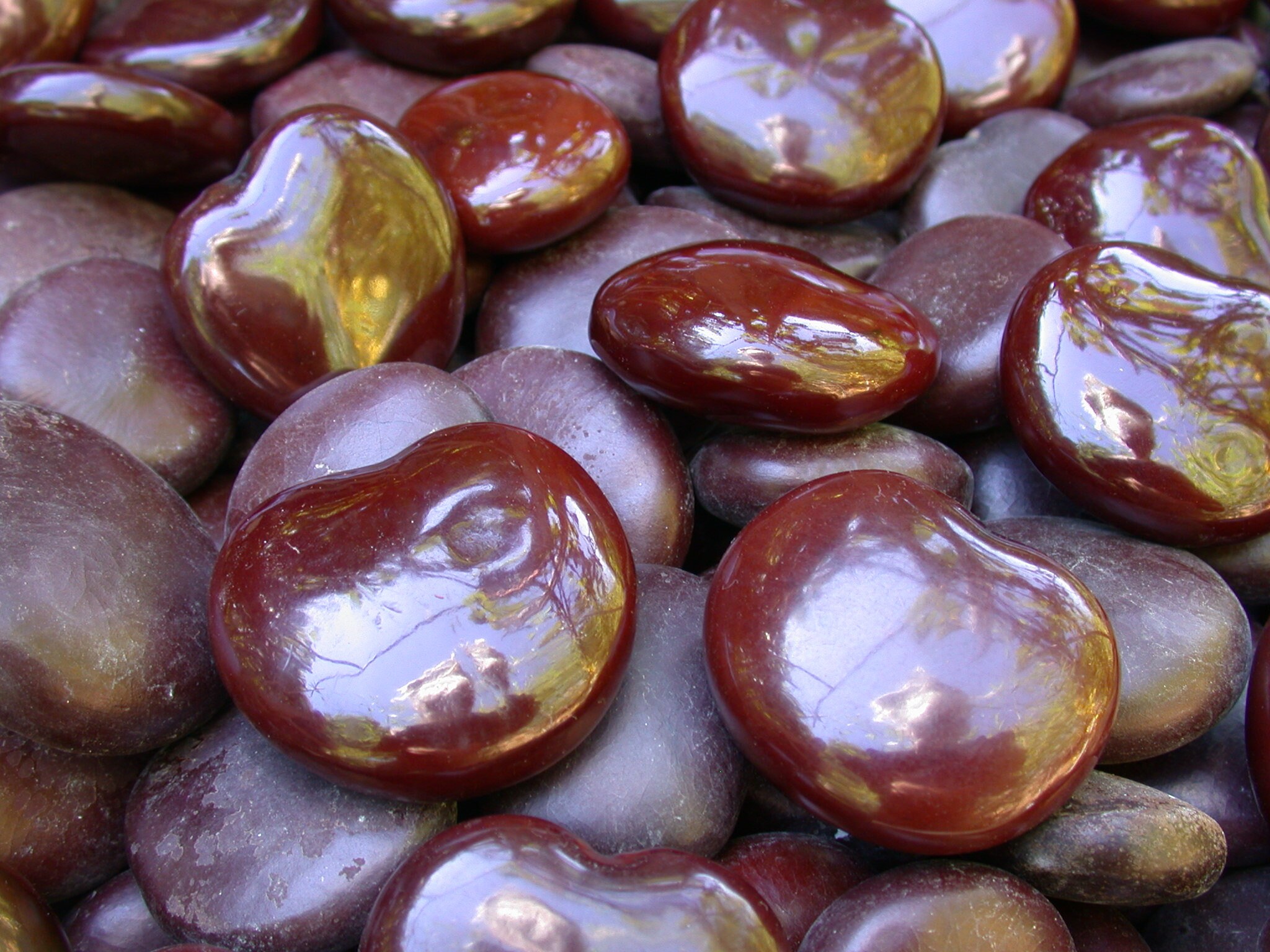 Sea Heart Bean Lucky Talisman: Natures Love Seed, Good Luck Charm ...