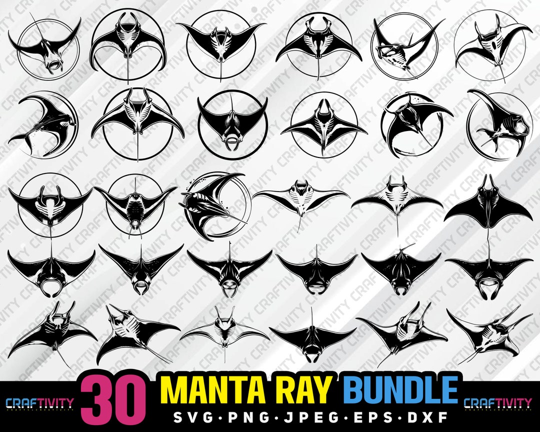 Manta Ray Bundle Svg Png Jpeg Eps Dxf Bundle Silhouette Clipart Cricut ...