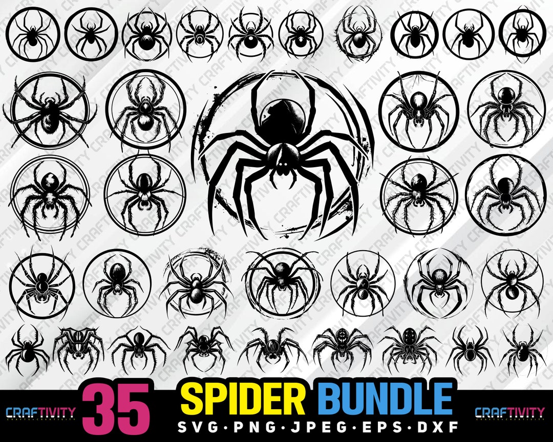 Spider Bundle Svg Png Jpeg Eps Dxf Bundle Silhouette Clipart Cricut ...