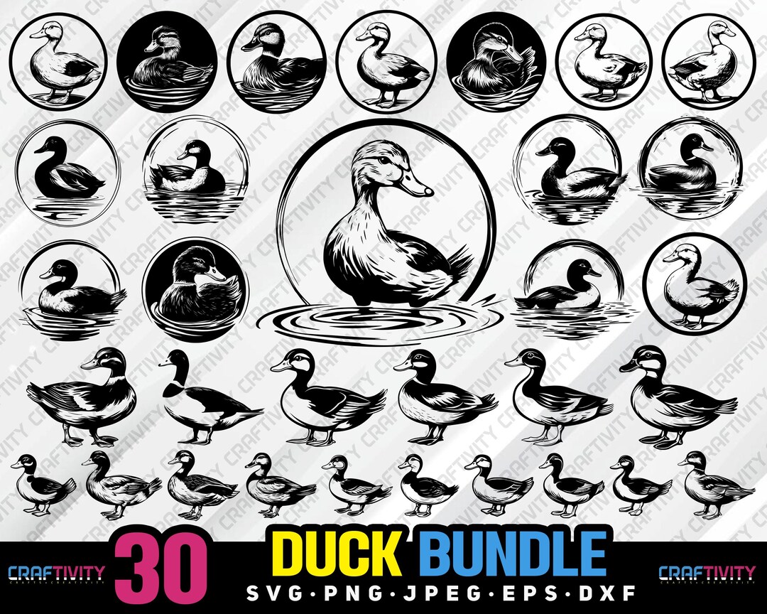 Duck Vector Bundle, Farm Animal Clipart (svg, Png, Jpg, Eps, Dxf) - Etsy
