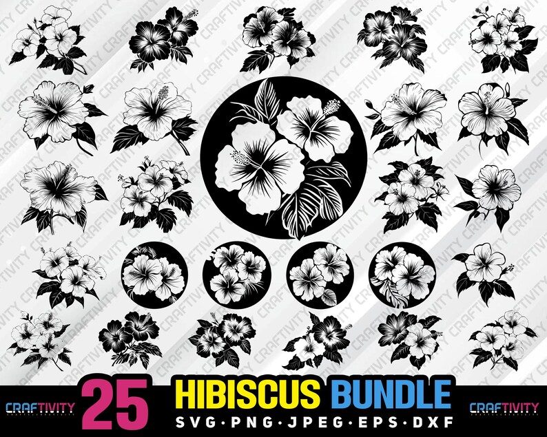 Hibiscus Bundle Svg Png Jpg Eps Dxf Engrave Silhouette Clipart Cricut ...