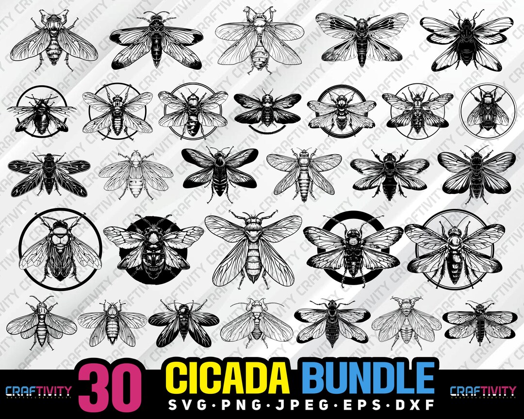 Cicada Bundle Svg Png Jpeg Eps Dxf Bundle Silhouette Clipart Cricut ...
