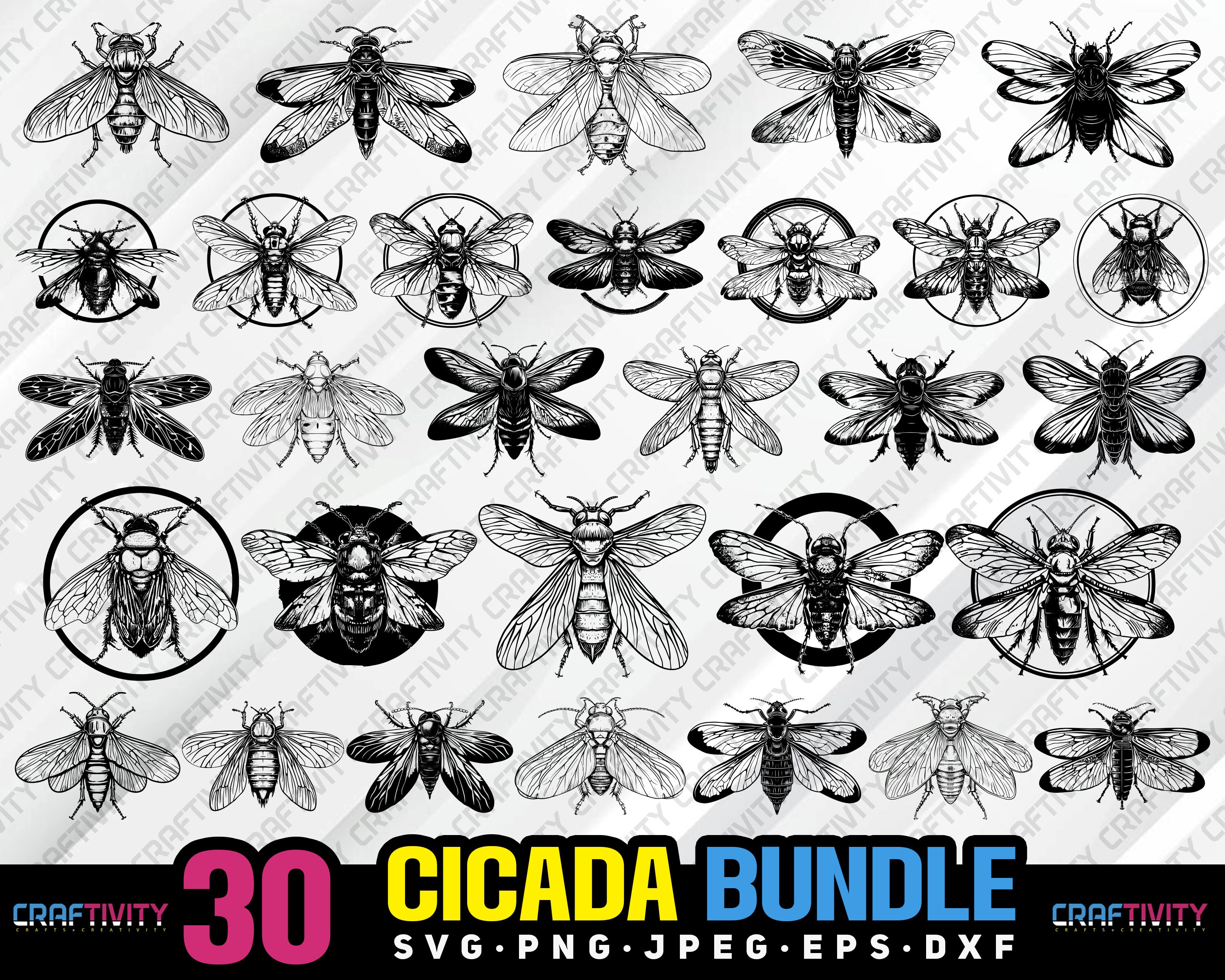 Cicada Bundle Svg Png Jpeg Eps Dxf Bundle Silhouette Clipart Cricut ...