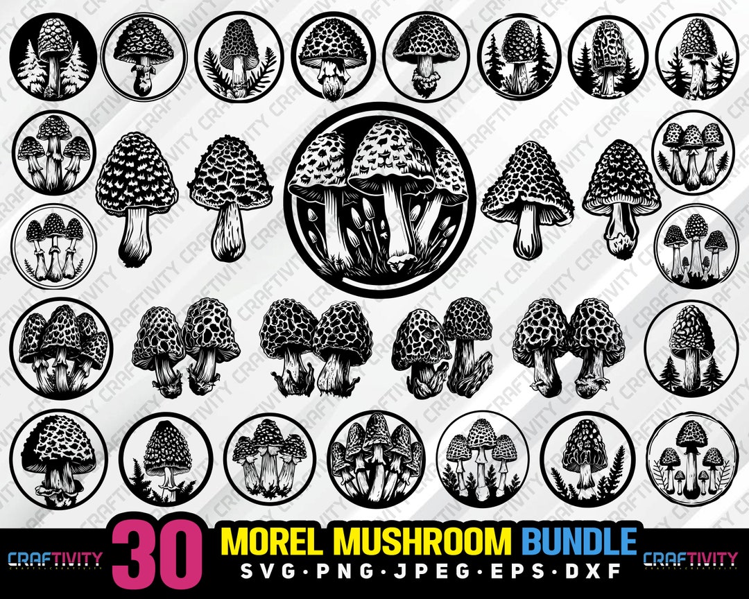 Morel Mushroom Bundle Svg Png Jpeg Eps Dxf Bundle Silhouette Clipart ...