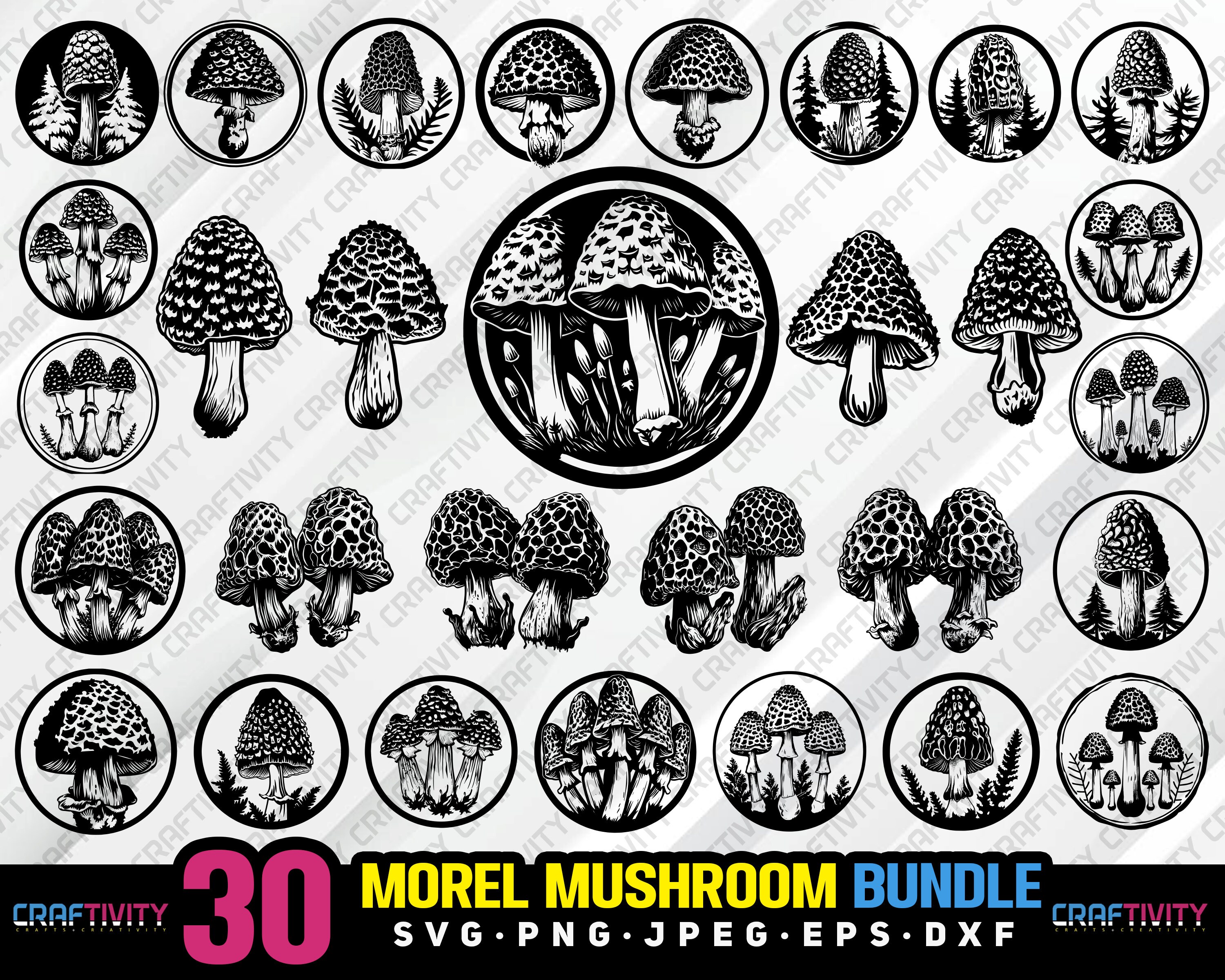 Morel Mushroom Bundle Svg Png Jpeg Eps Dxf Bundle Silhouette Clipart ...
