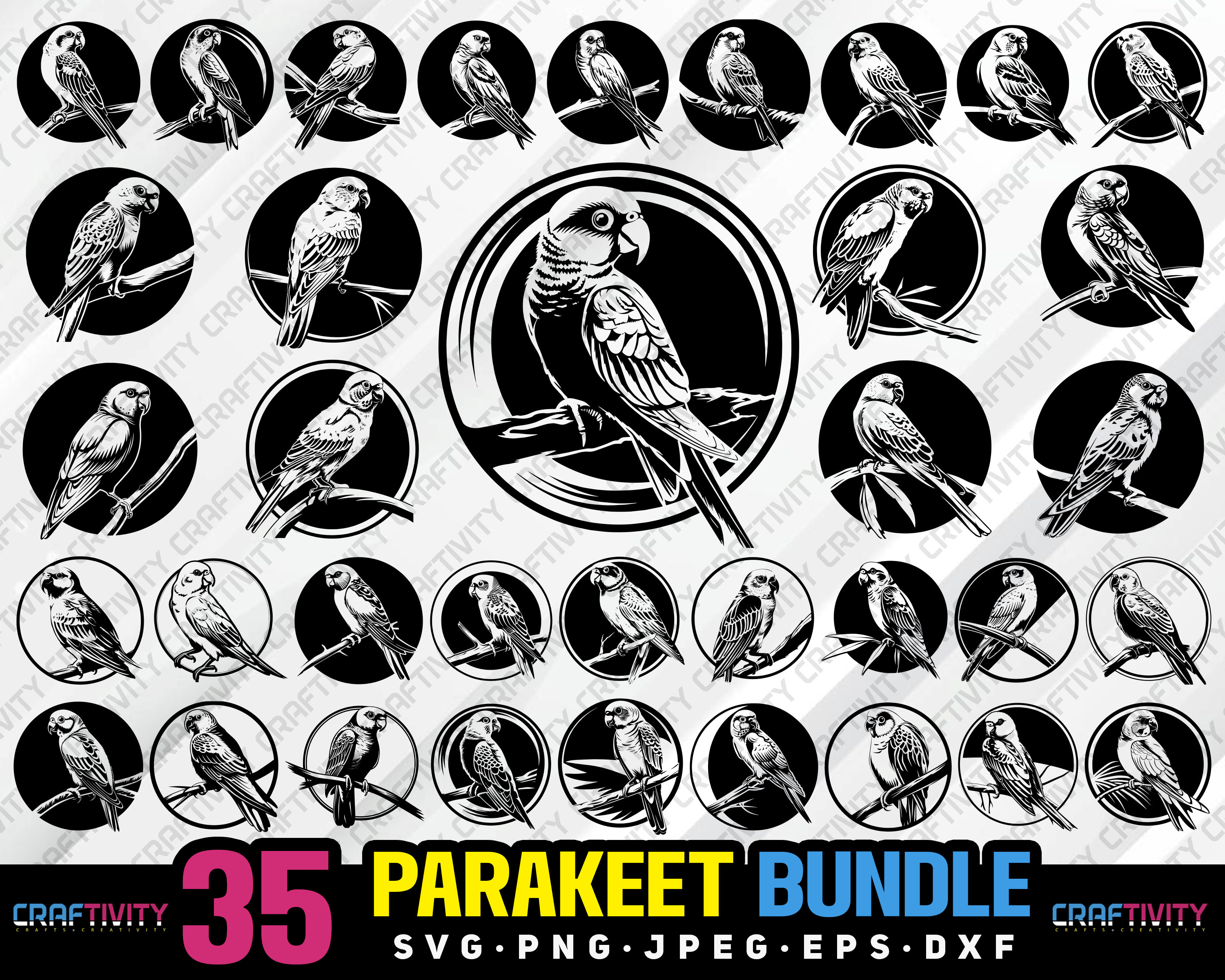 Parakeet Svg Bundle Svg Png Jpeg Eps Dxf Bundle Silhouette Clipart ...