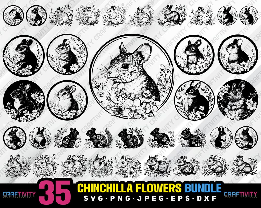 Chinchilla Flower Bundle Svg Png Jpeg Eps Dxf Engrave Silhouette ...