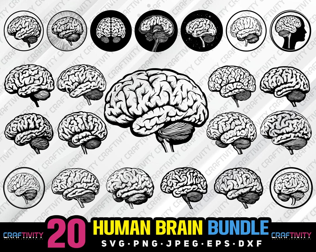 Human Brain Clipart Bundle (svg, Png, Jpg, Eps, Dxf) - Etsy