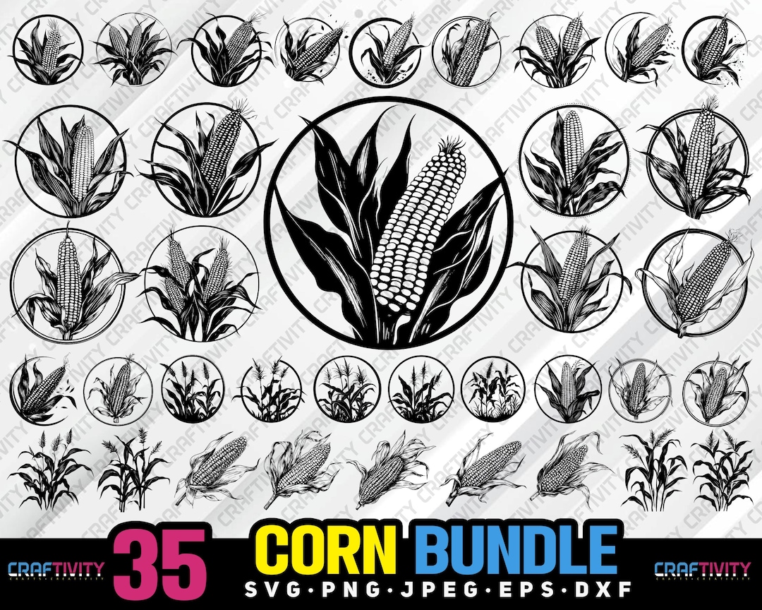 Corn Vector Bundle SVG PNG, Laser Cut Files (digital Download) - Etsy