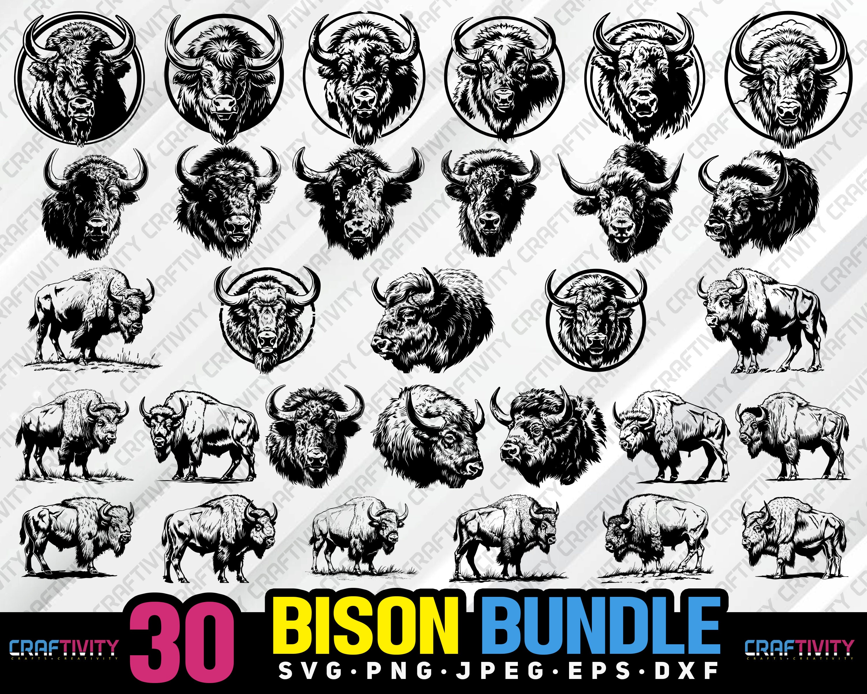 Bison Bundle Svg Png Jpeg Eps Dxf Bundle Silhouette Clipart Cricut Vector Commercial Use Custom ...