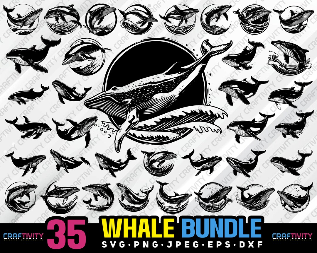 Whale Clipart Bundle, Vector Sea Animal Graphics (digital Download) - Etsy