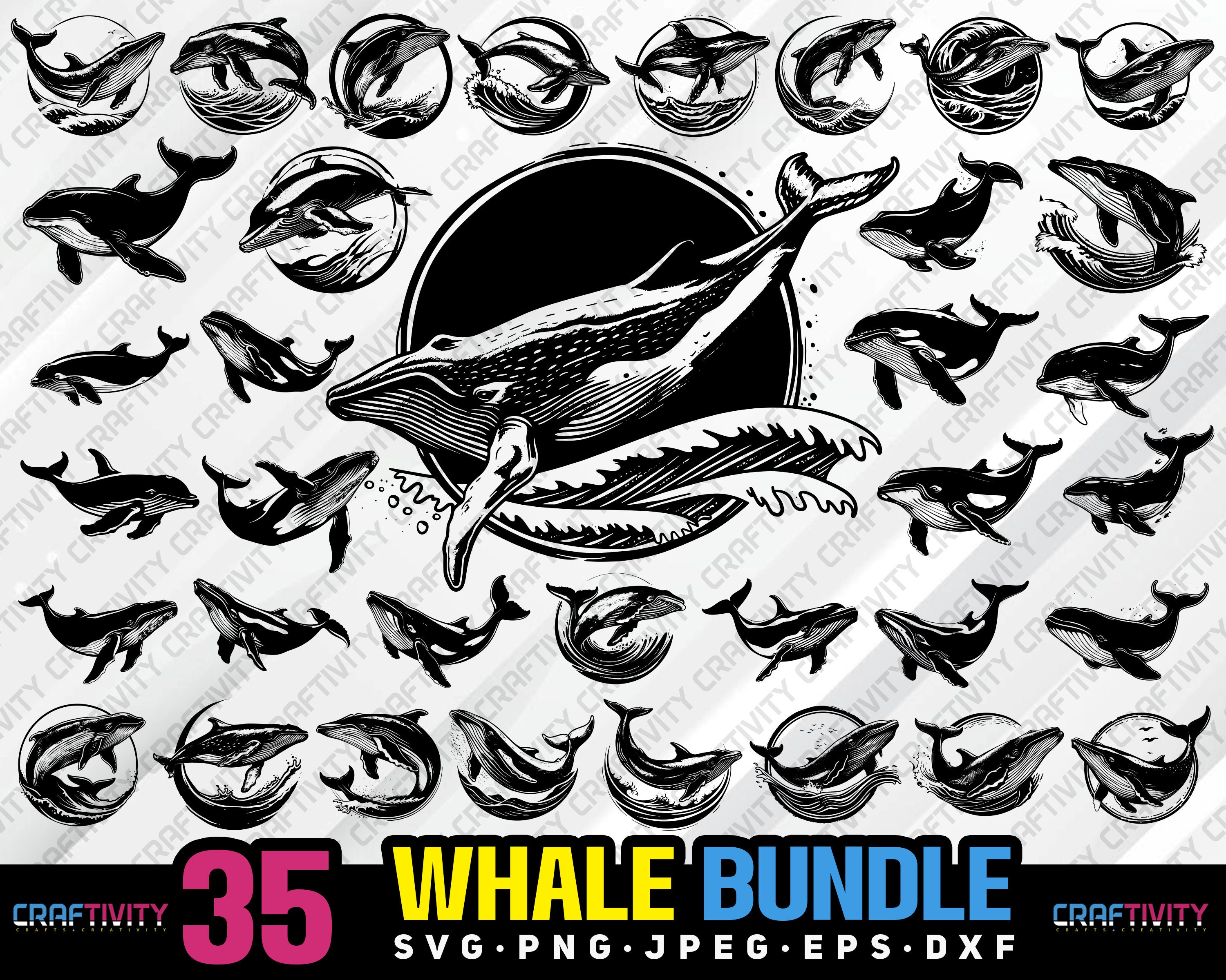 Whale Clipart Bundle, Vector Sea Animal Graphics (digital Download) - Etsy