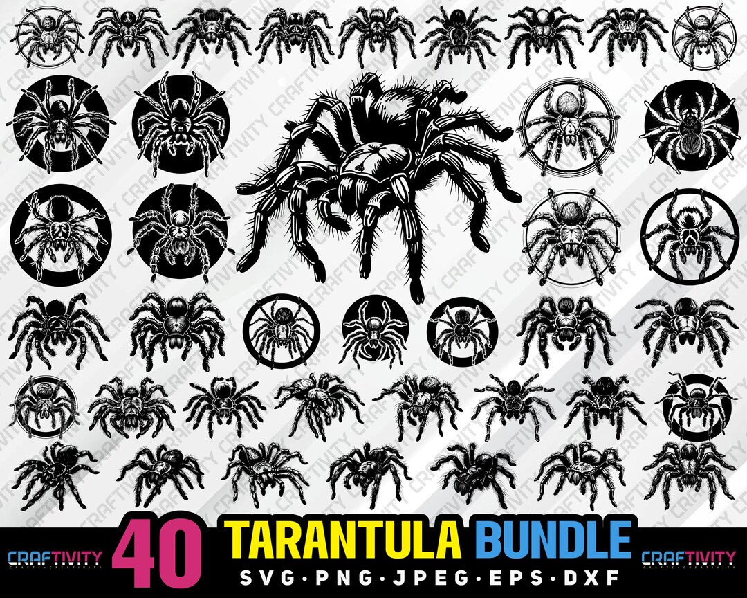 Tarantula Bundle Svg Png Jpg Eps Dxf Bundle Silhouette Clipart Cricut ...