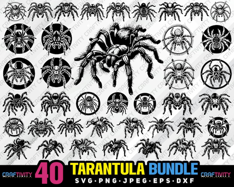 Tarantula Bundle Svg Png Jpg Eps Dxf Bundle Silhouette Clipart Cricut Vector Commercial Use ...