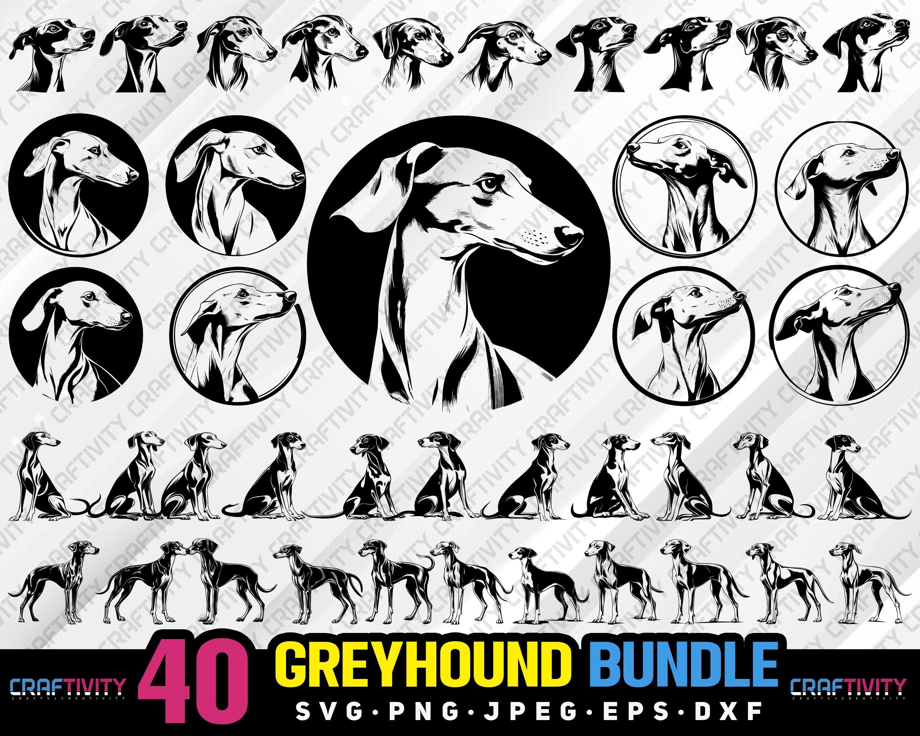 Greyhound Bundle Svg Png Jpeg Eps Dxf Bundle Silhouette Clipart Cricut ...