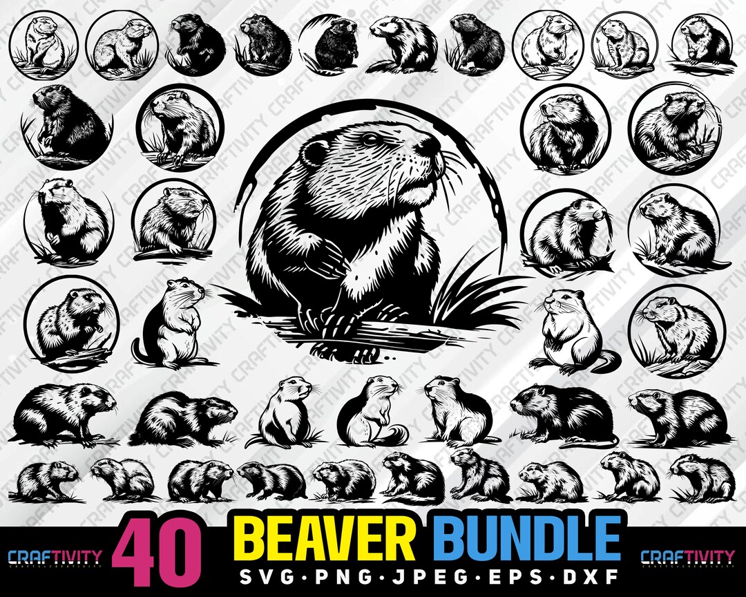 Beaver Bundle Svg Png Jpeg Eps Dxf Bundle Silhouette Clipart Cricut ...