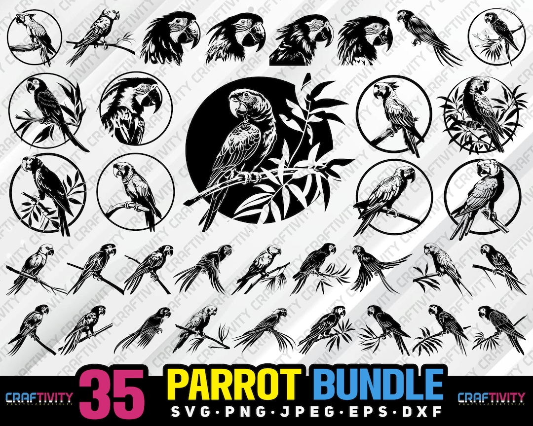 Parrot Bundle Svg Png Jpeg Eps Dxf Bundle Silhouette Clipart Cricut ...
