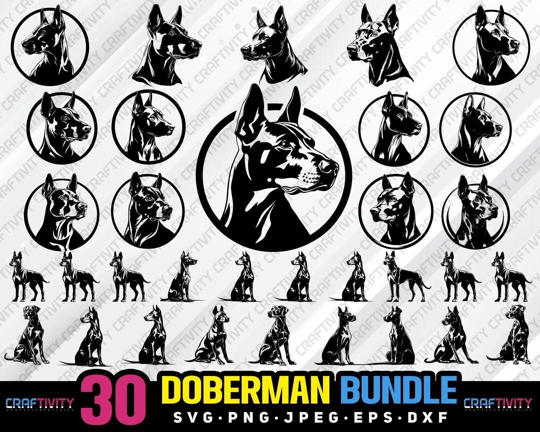 Doberman Bundle Svg Png Jpeg Eps Dxf Bundle Silhouette Clipart Cricut ...