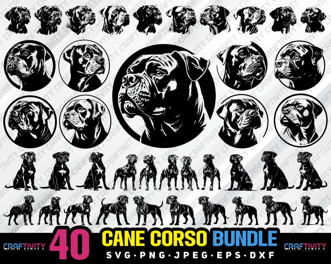 Cane Corso Dog Vector Bundle (svg, Png, Jpg, Eps, Dxf) - Etsy