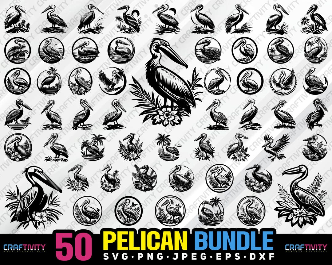 Pelican Bundle Svg Png Jpeg Eps Dxf Bundle Silhouette Clipart Cricut ...