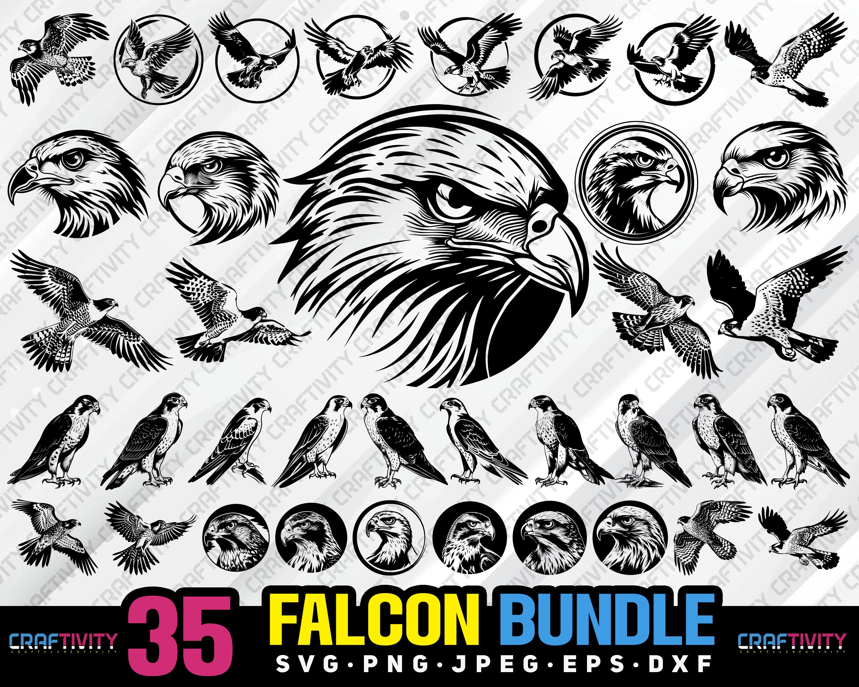 Falcon Bundle Svg Png Jpeg Eps Dxf Bundle Silhouette Clipart Cricut ...