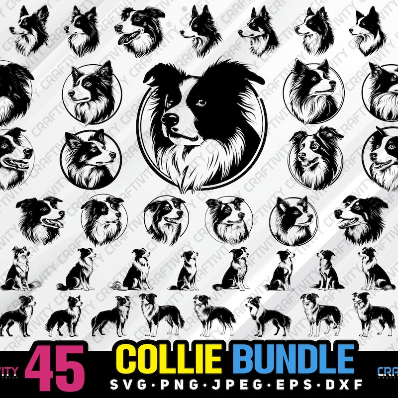 Border Collie Svg - Etsy