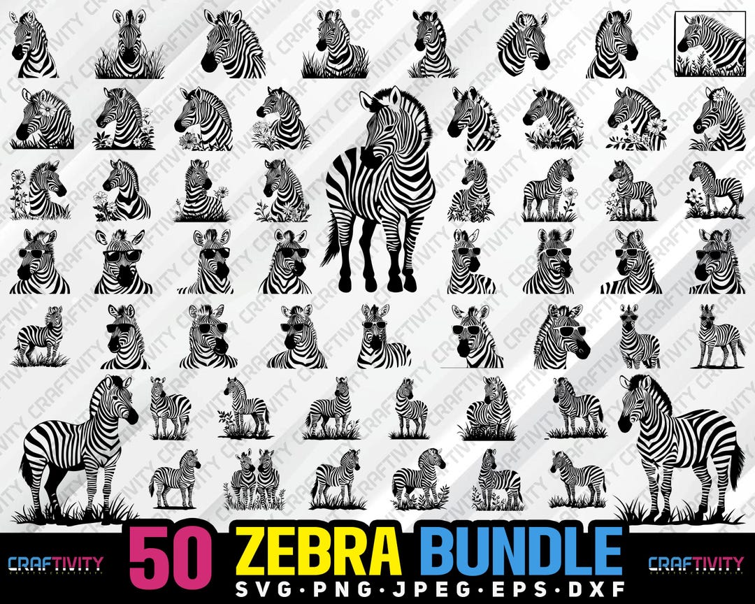 Zebra Clipart Bundle, Zoo Animal Vector Graphics (svg, Png, Jpg, Eps ...
