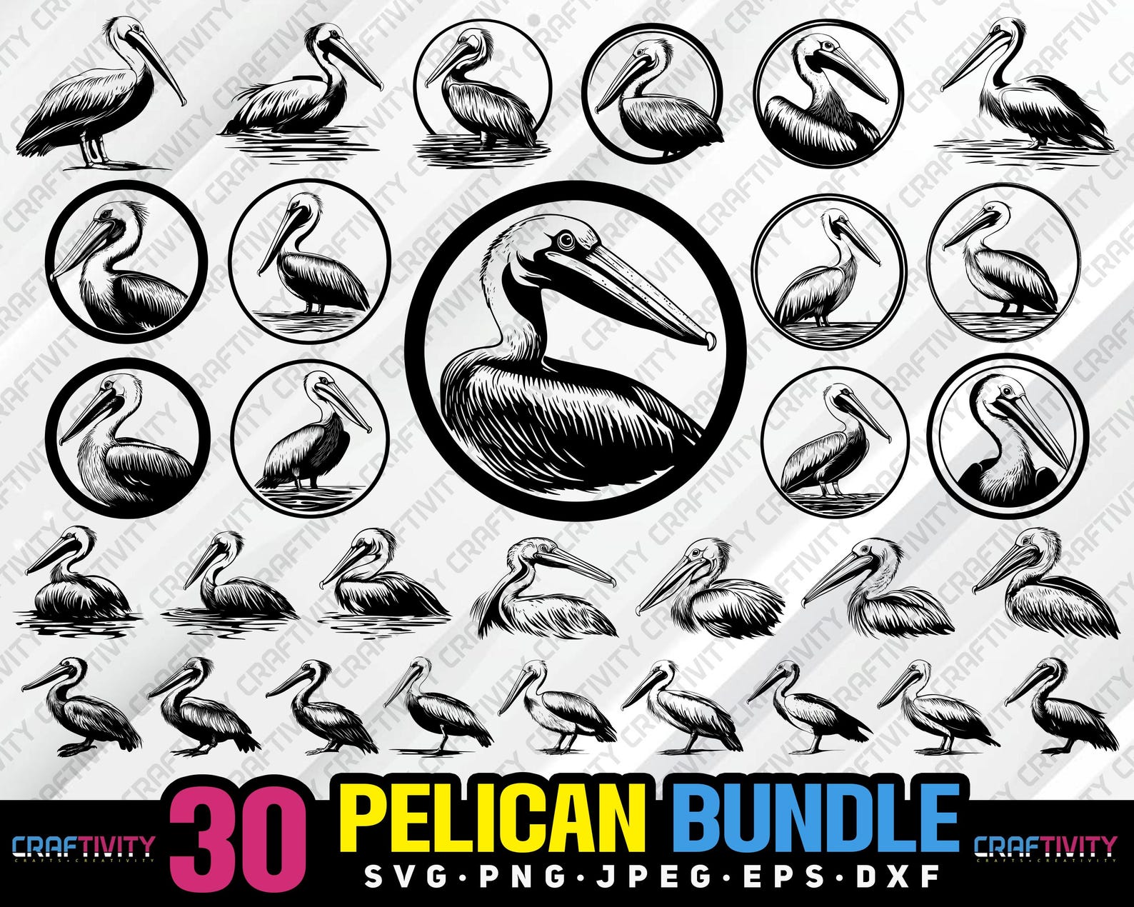 Pelican Bundle Svg Png Jpeg Eps Dxf Bundle Silhouette Clipart Cricut ...