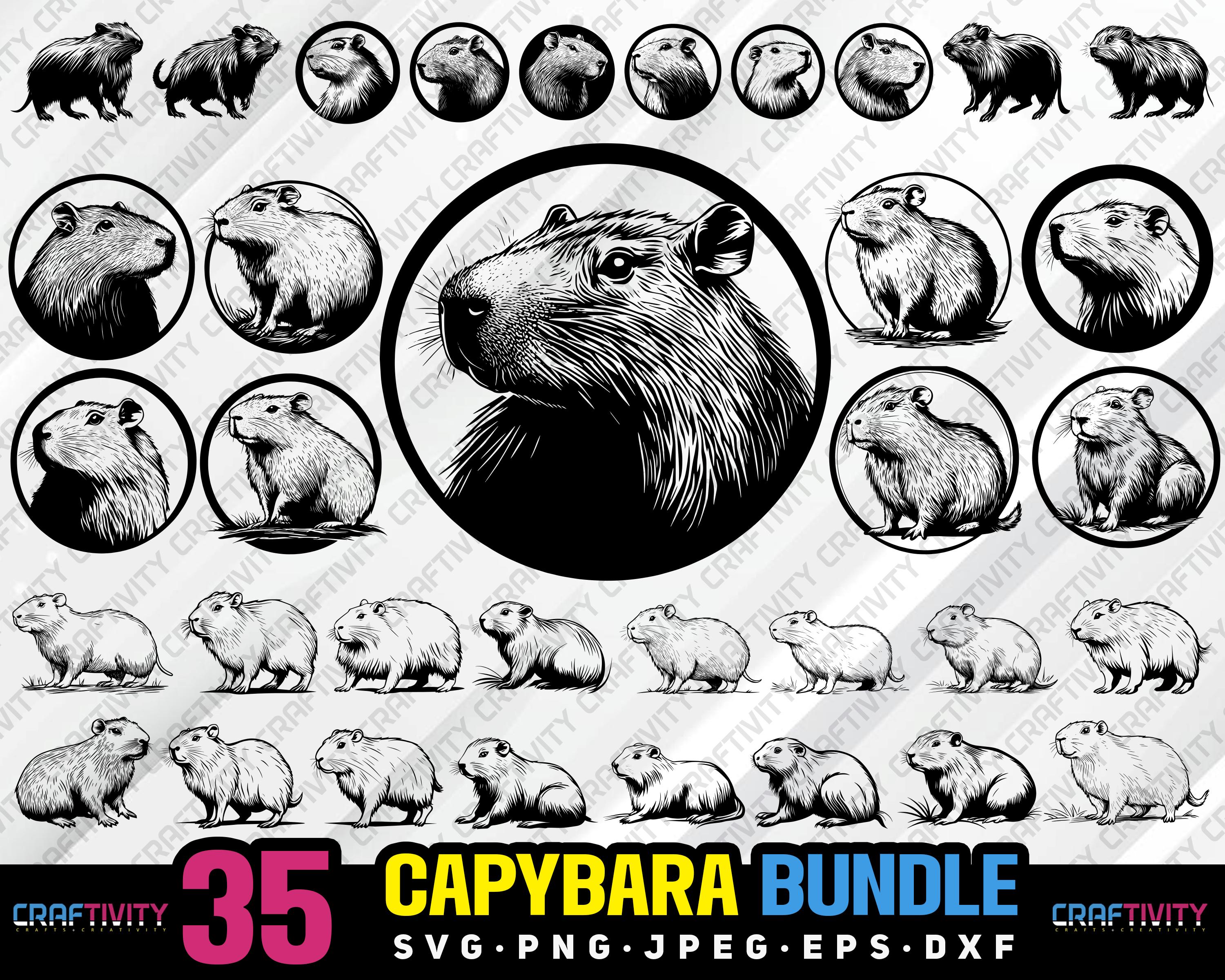 Capybara Bundle Svg Png Jpg Eps Dxf Engrave Silhouette Clipart Cricut ...
