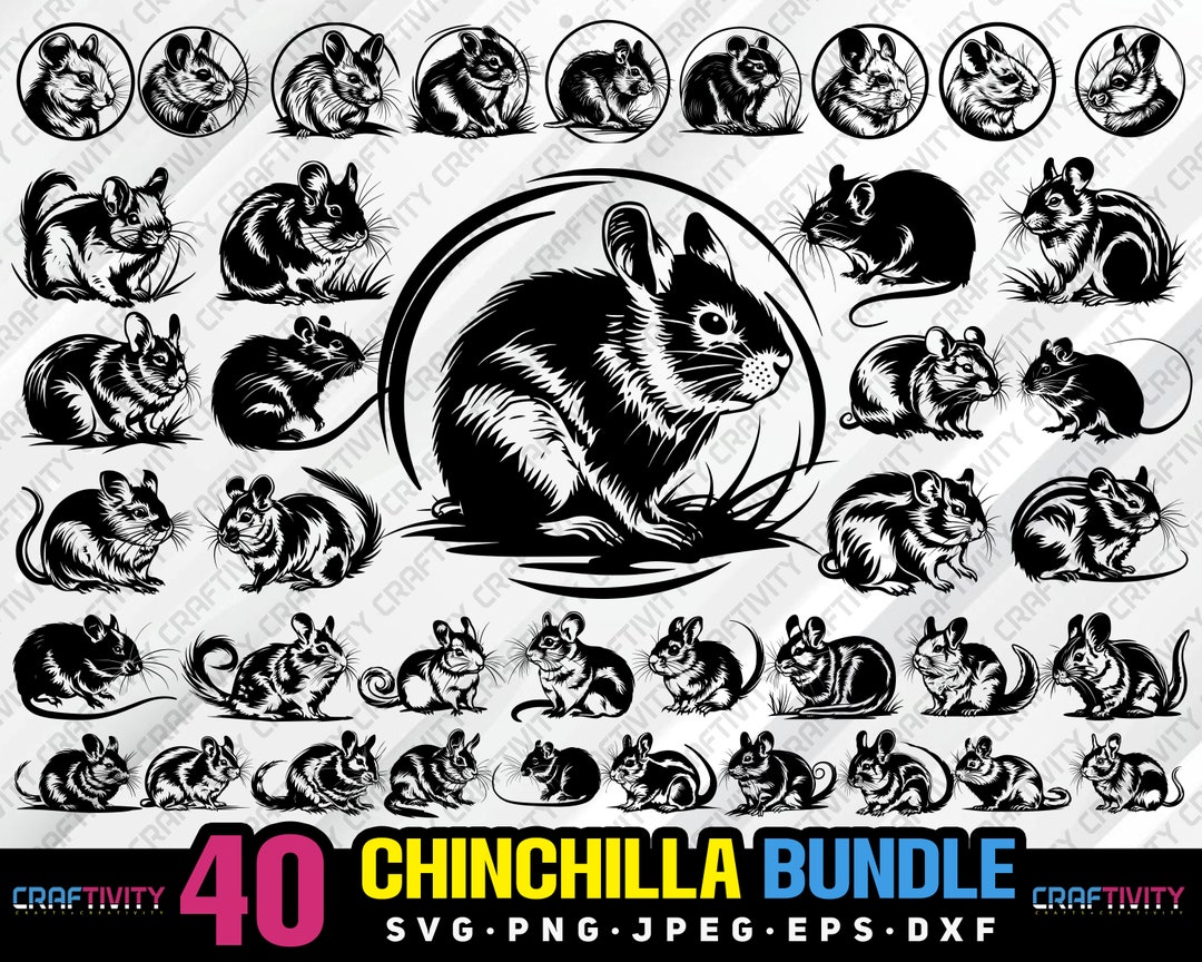 Chinchilla Bundle Svg Png Jpeg Eps Dxf Bundle Silhouette Clipart Cricut ...