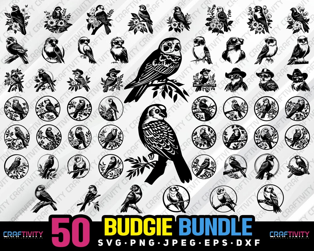 Budgie Bundle Svg Png Jpeg Eps Dxf Bundle Silhouette Clipart Cricut ...