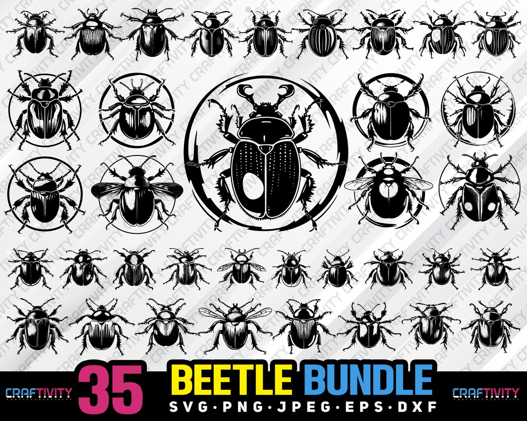 Beetle Silhouette Clipart Bundle: Insect Vector Graphics (svg, Png, Jpg ...