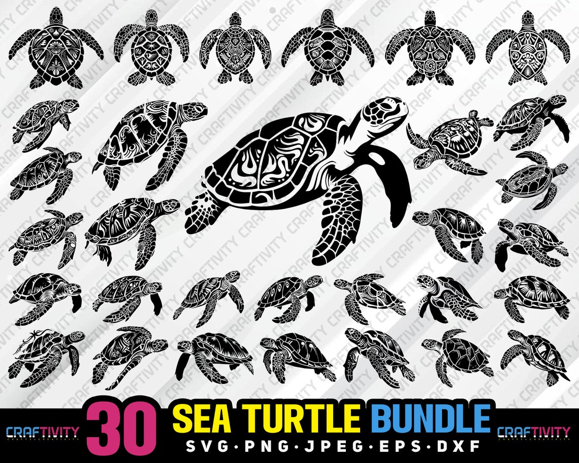 Sea Turtle Bundle Svg Png Jpeg Eps Dxf Bundle Silhouette Clipart Cricut ...
