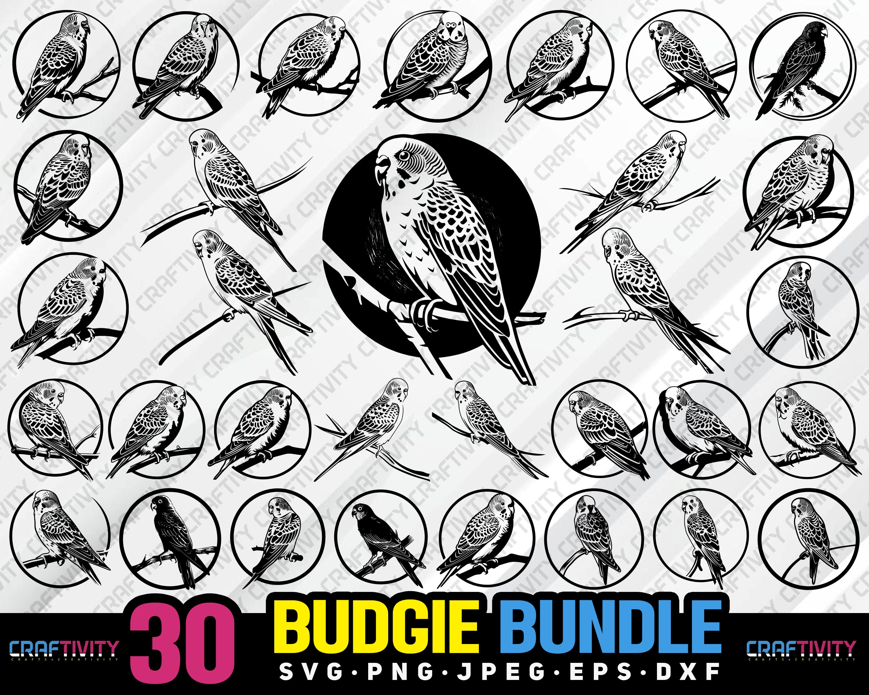 Budgie Bundle Svg Png Jpeg Eps Dxf Bundle Silhouette Clipart Cricut ...