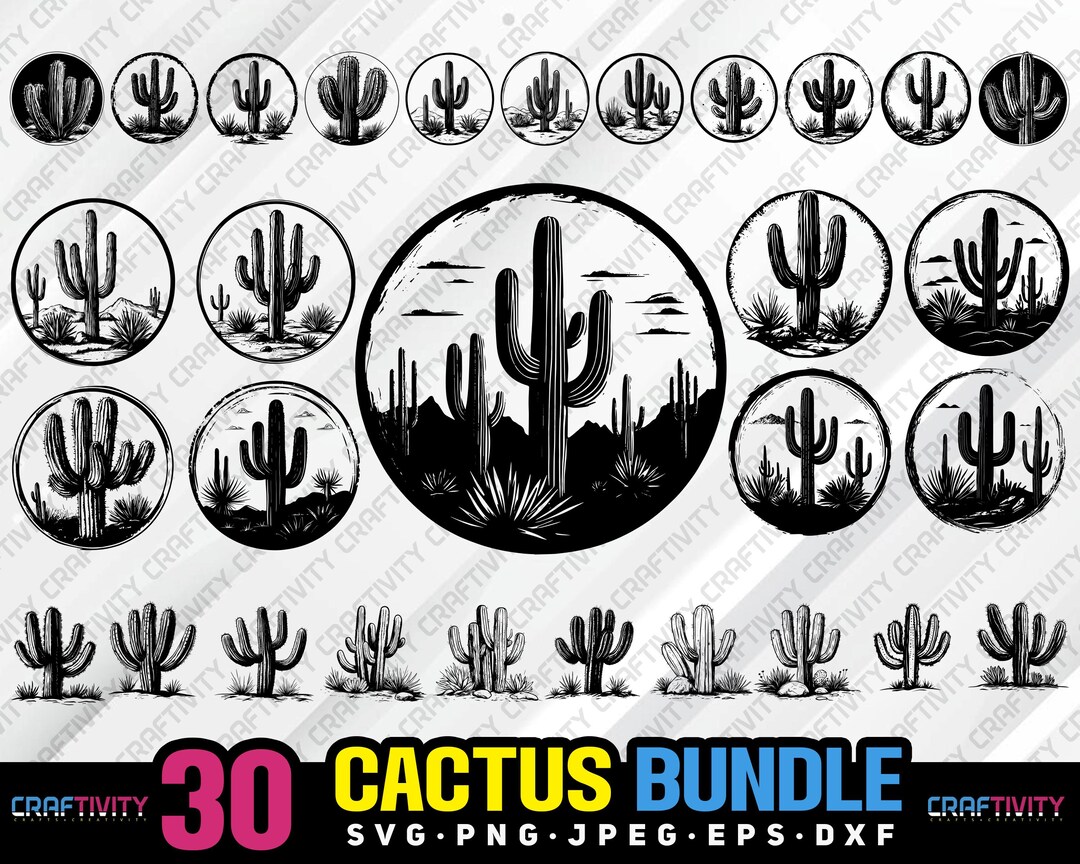 Cactus SVG Bundle: Desert Cacti Clipart (digital Download) - Etsy