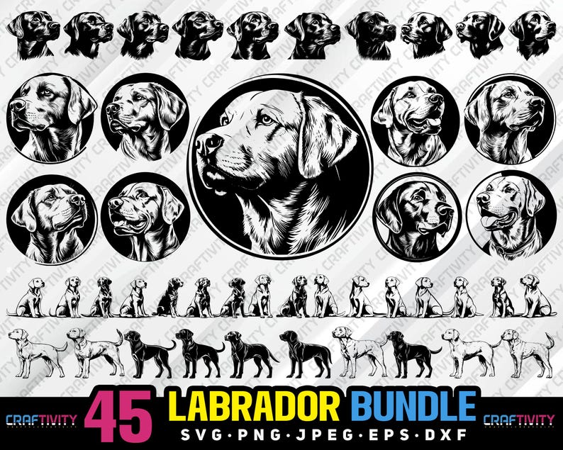 Labrador Dog Vector Bundle (svg, Png, Jpg, Eps, Dxf) - Etsy