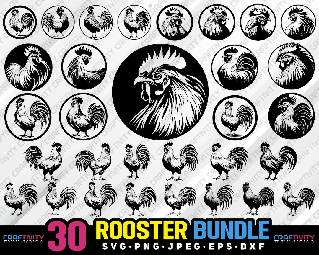 Rooster Clipart Bundle, Farm Animal Vector Graphics (svg, Png, Jpg, Eps ...