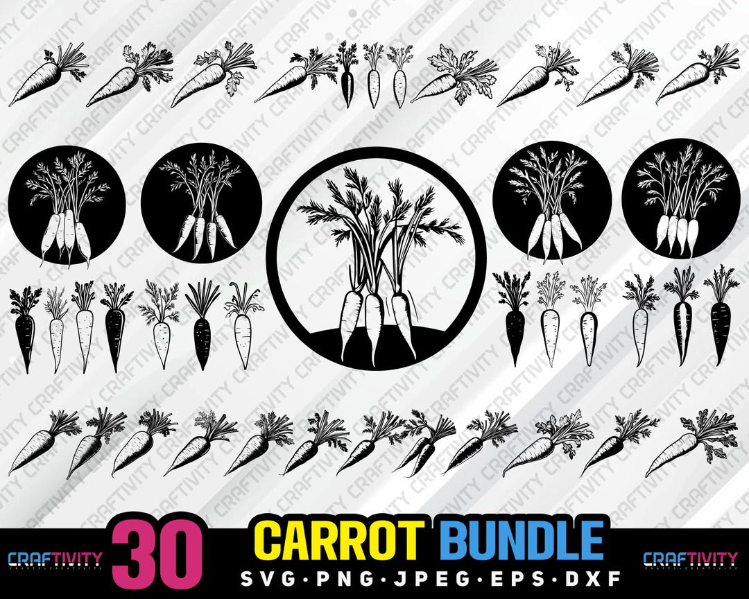 Carrot Bundle Vector Art (svg, Png, Jpg, Eps, Dxf) - Etsy