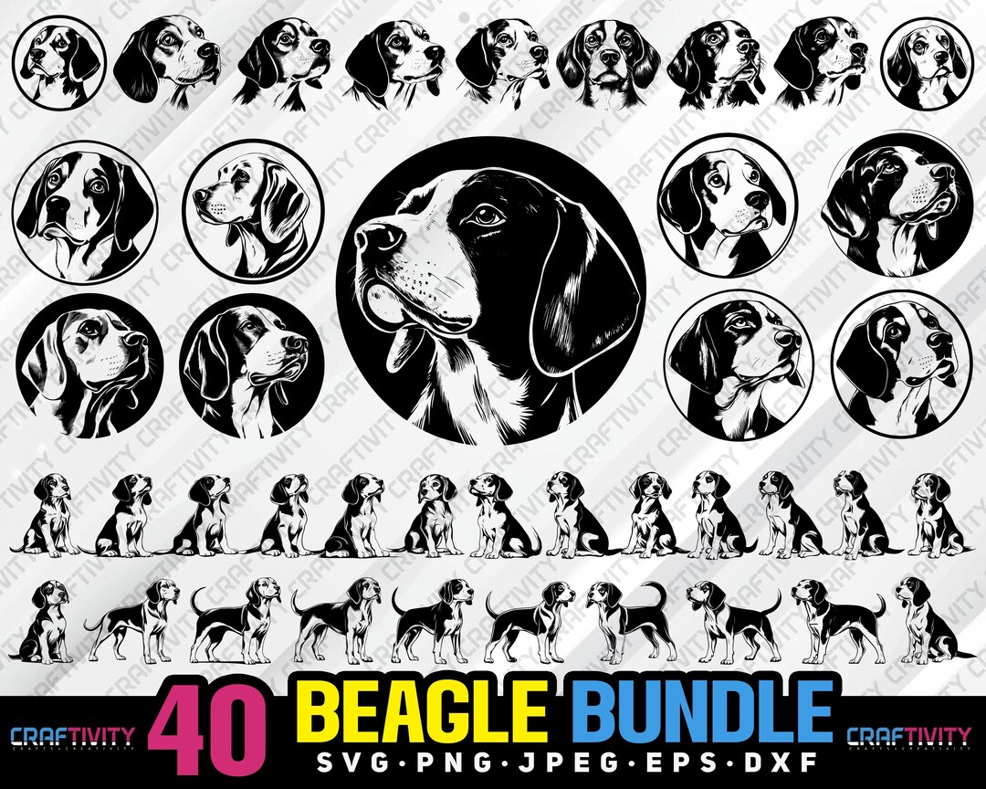Beagle Bundle Svg Png Jpeg Eps Dxf Bundle Silhouette Clipart Cricut ...