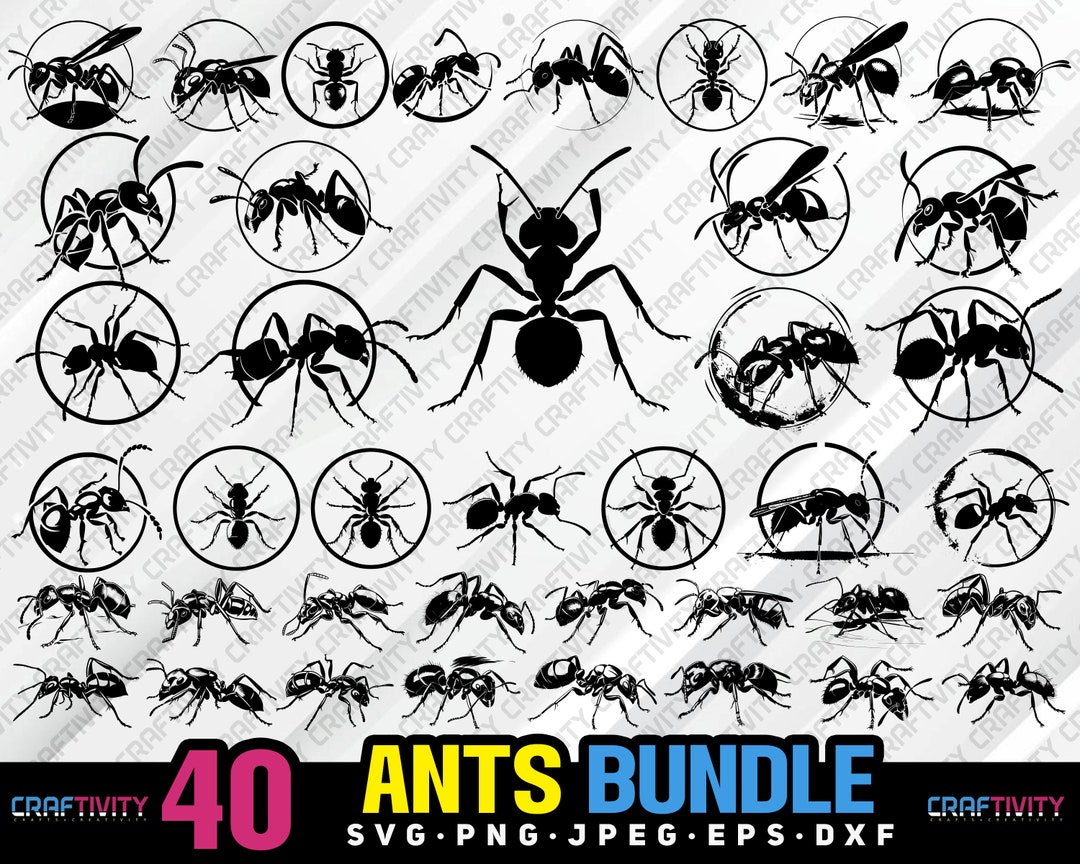 Ants Bundle Svg Png Jpeg Eps Dxf Bundle Silhouette Clipart Cricut ...