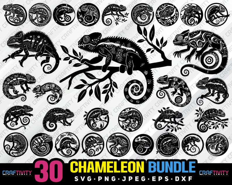 Chameleon Clipart Bundle, Vector Animal Graphics (svg, Png, Jpg, Eps ...