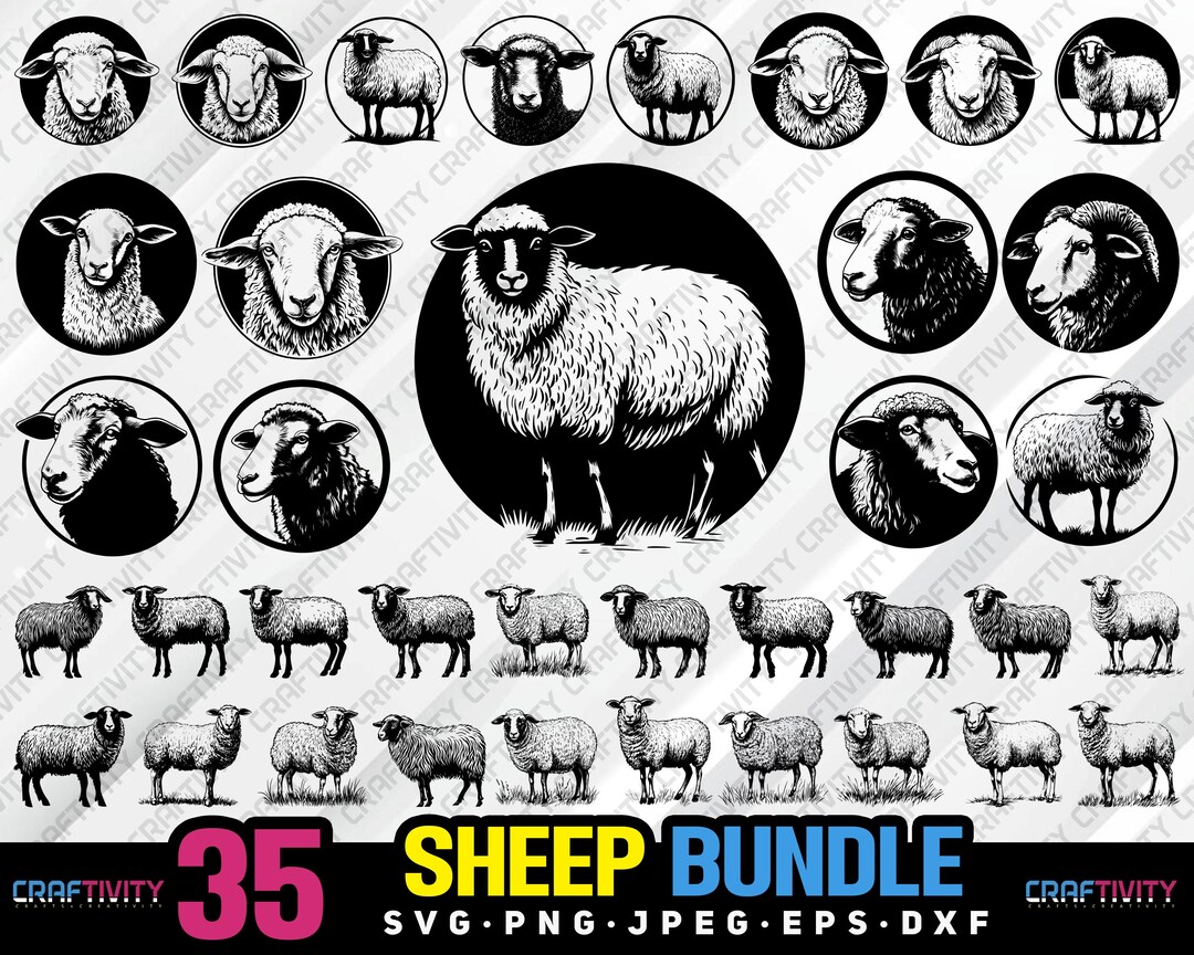 Sheep Clipart Bundle, Farm Animal Vector Graphics (svg, Png, Jpg, Eps ...
