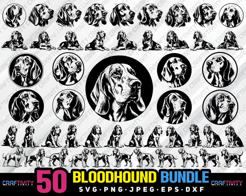 Bloodhound Bundle Svg Png Jpeg Eps Dxf Bundle Silhouette Clipart Cricut ...