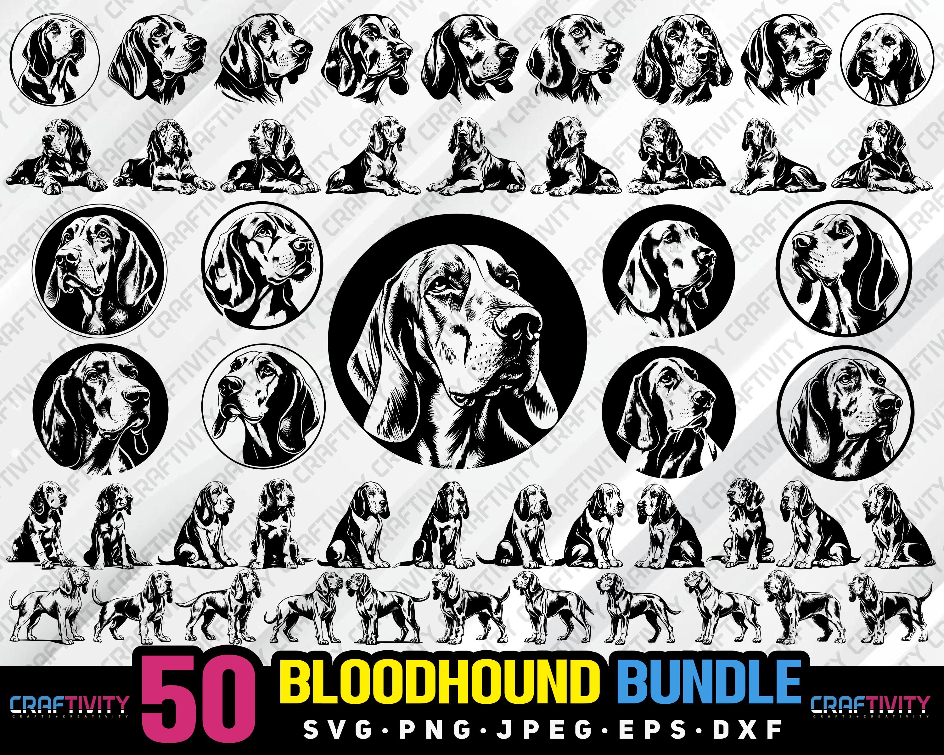 Bloodhound Bundle Svg Png Jpeg Eps Dxf Bundle Silhouette Clipart Cricut ...