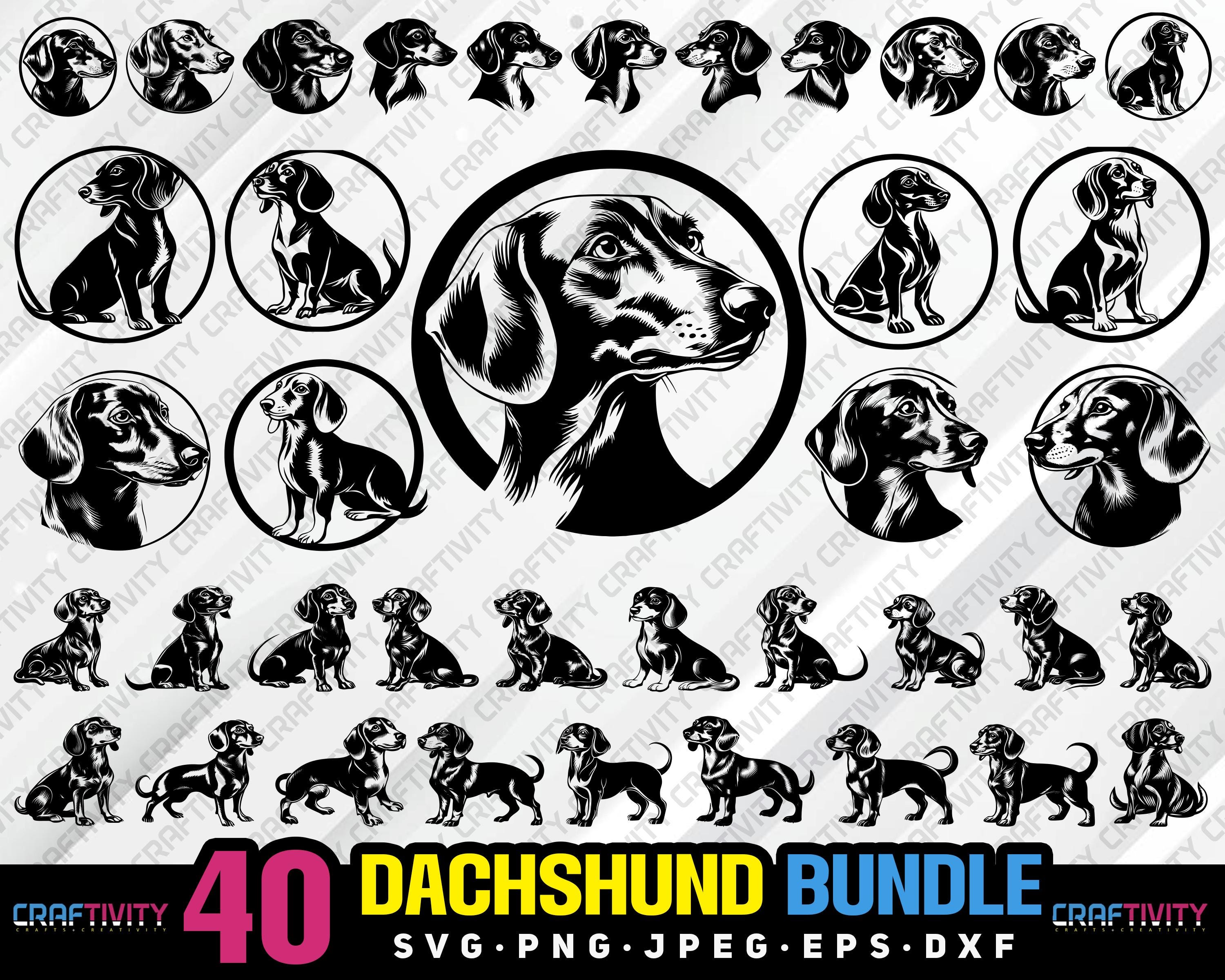Dachshund Vector Bundle, Silhouette Clipart (svg, Png, Jpg, Eps, Dxf ...