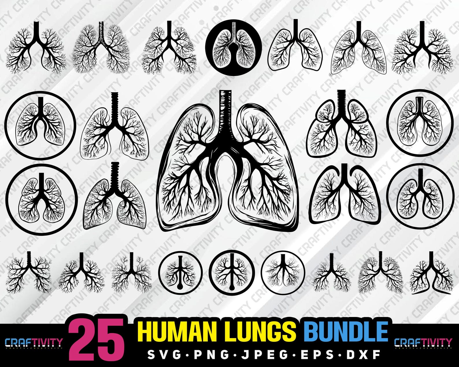Human Lungs Bundle Svg Png Jpeg Eps Dxf Engrave Silhouette Clipart ...