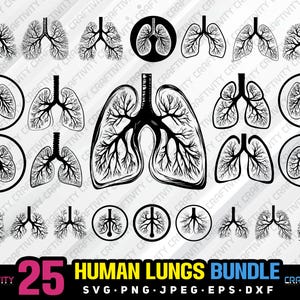 Human Lungs Bundle Svg Png Jpeg Eps Dxf Engrave Silhouette Clipart ...