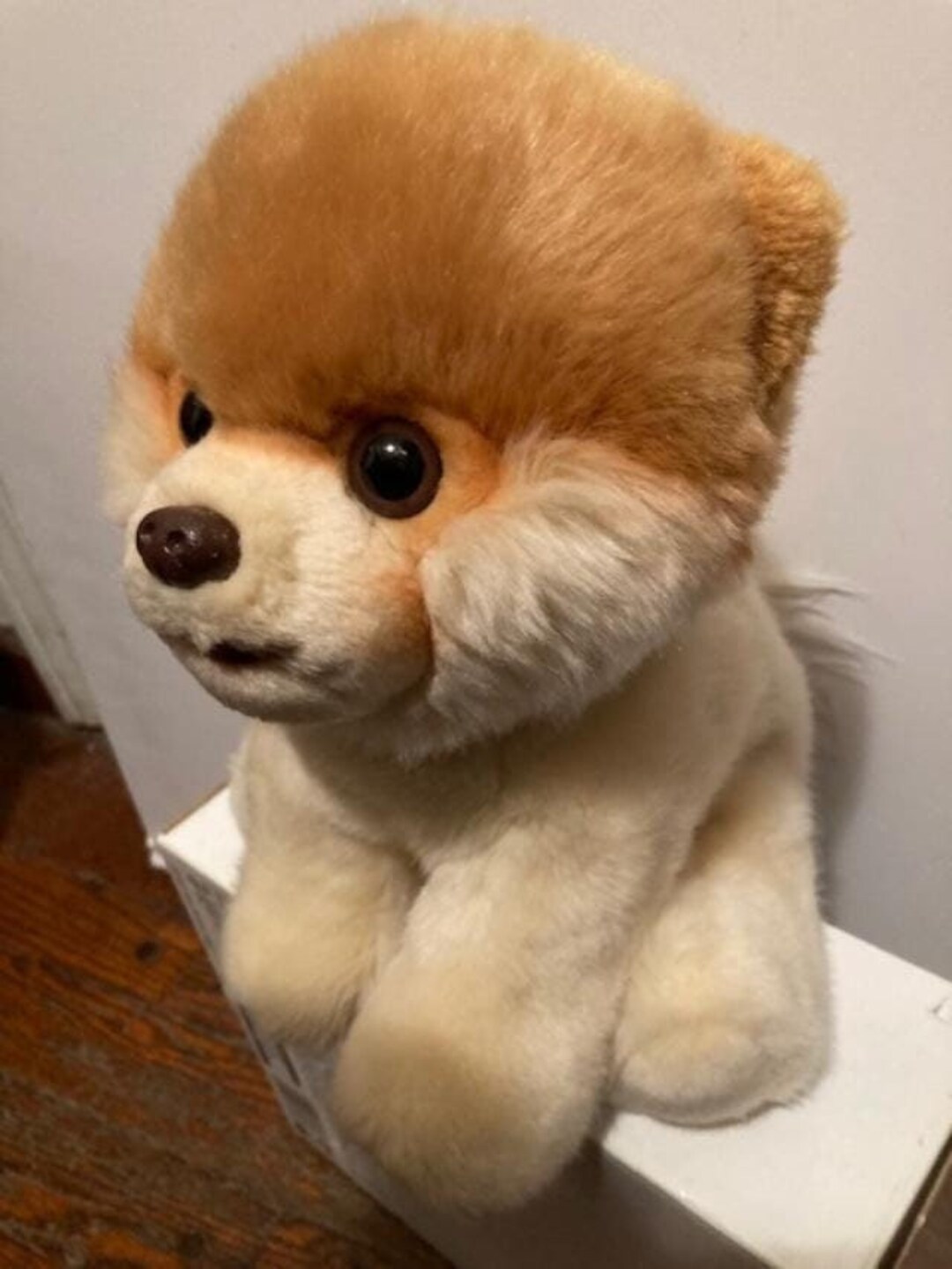 Boo the World's Cutest Dog 9 Plush Stuffed Animal Gund Pomeranian ...