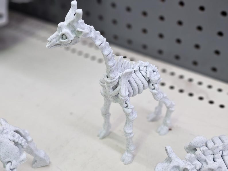Skeletal Giraffe, Articulating Model - Etsy