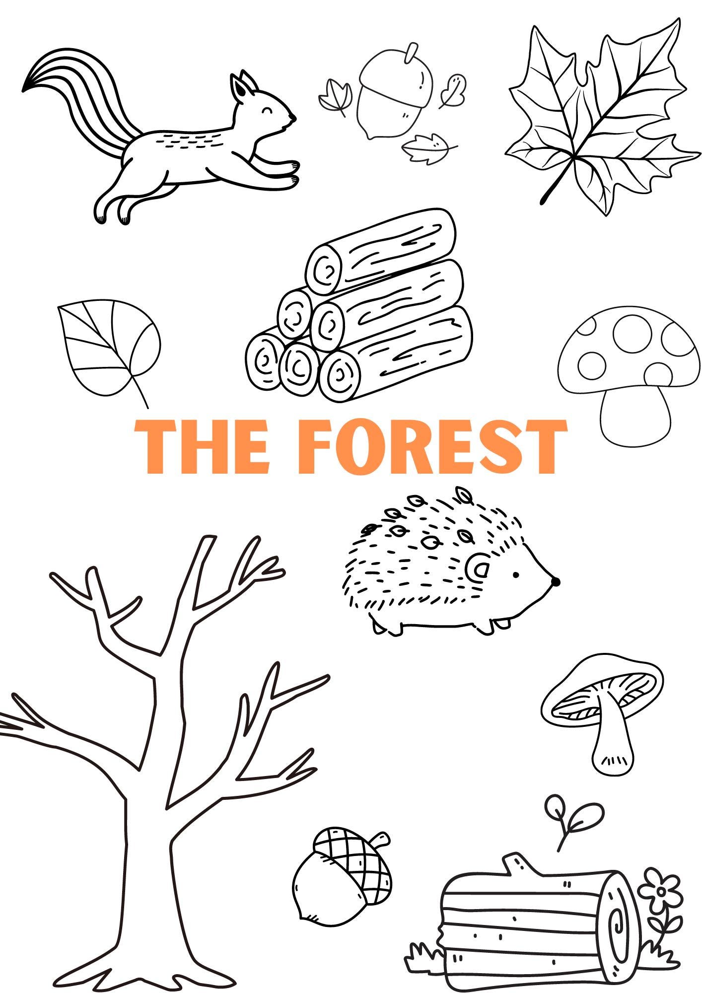 Fall Coloring Book for Kids With 5 Pages - Etsy
